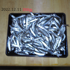 ヒメマス・ワカサギ釣り果